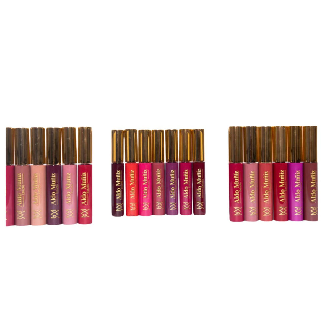 Kit 11 COLECCIÓN TOTAL DE LABIALES – Aldo Muñiz Estudio