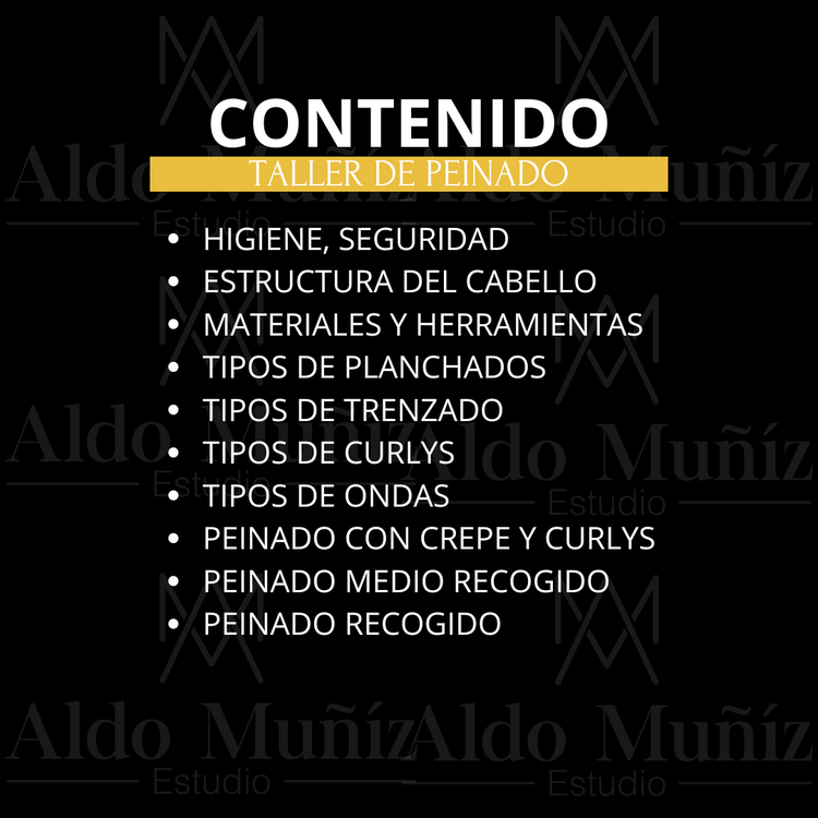 Taller de Peinado – Aldo Muñiz Estudio